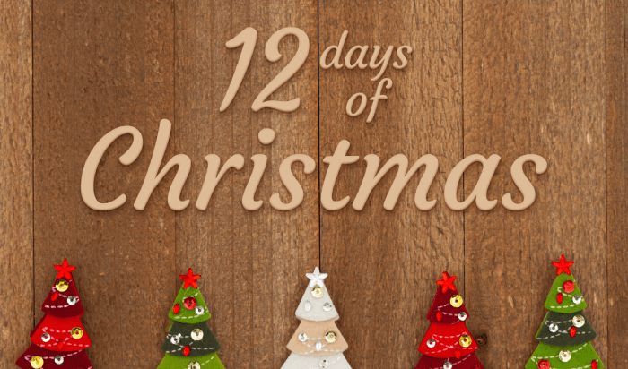 The 12 Days Of Christmas…Injuries? | Flesch Law Firm